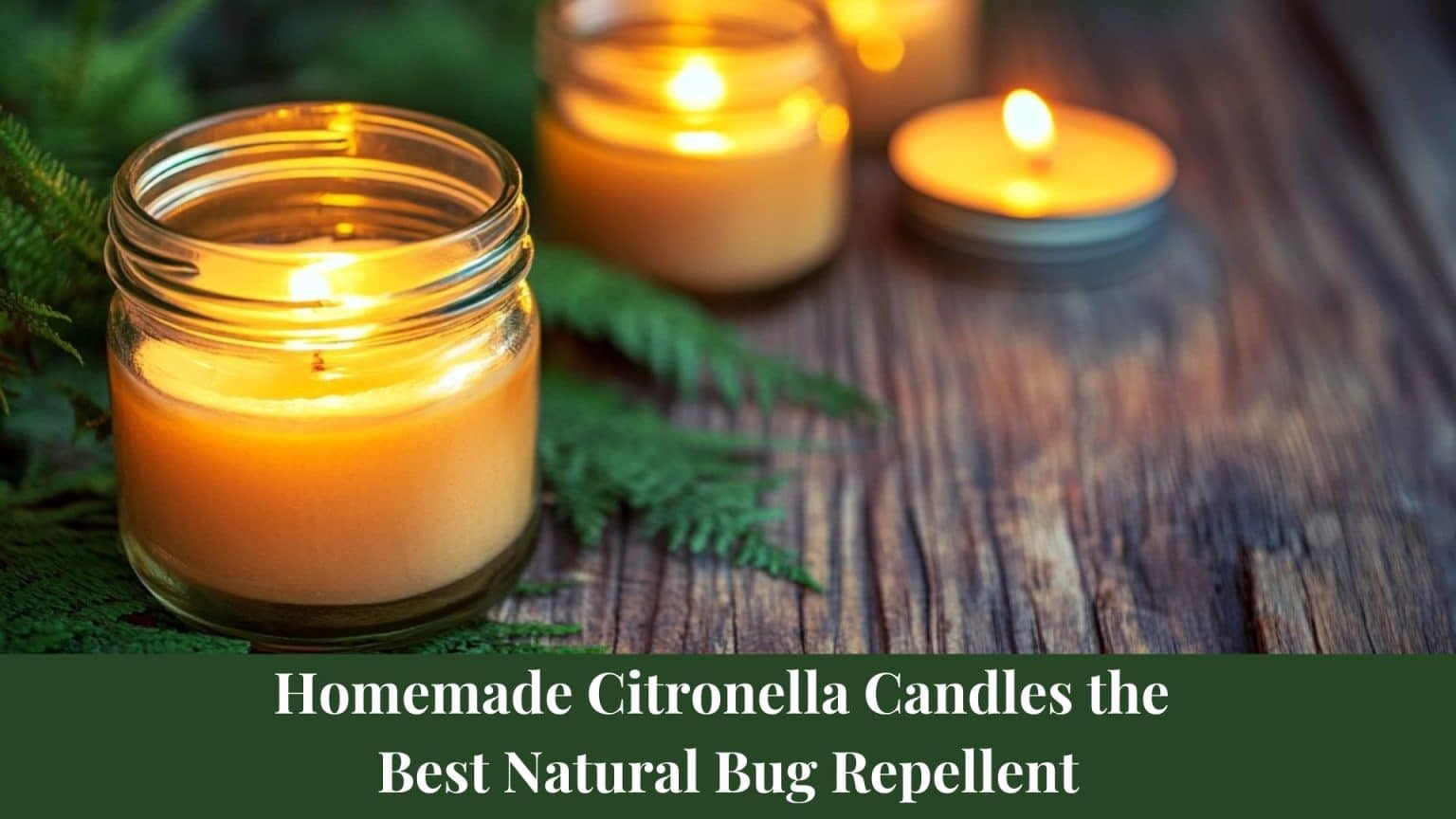 Homemade Citronella Candles: Best Natural Bug Repellent - The Painted Hinge