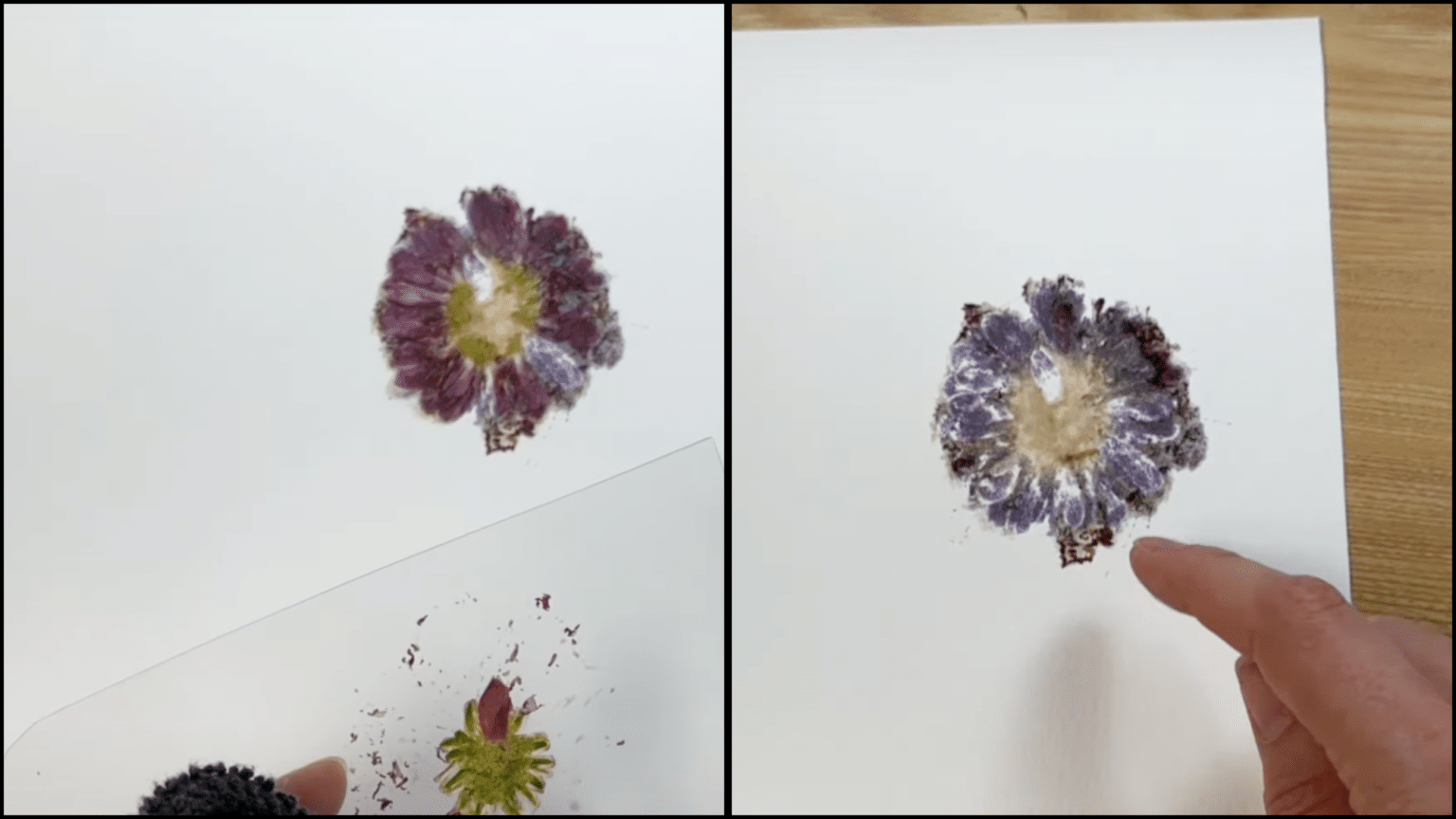 Master Flower Pounding Art with Easy DIY Ideas - The Painted Hinge