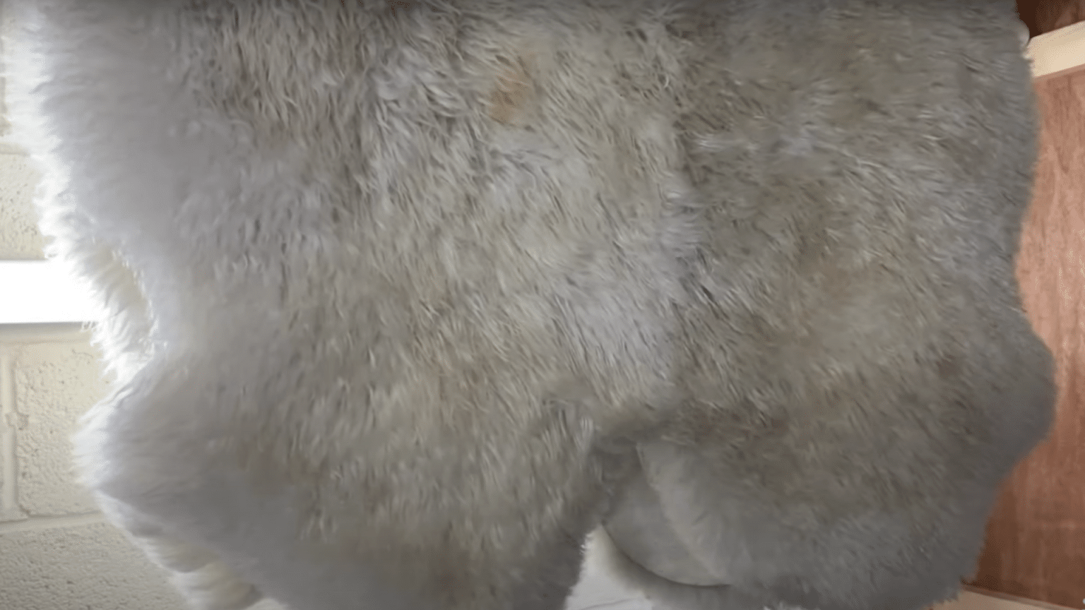 How to Wash a Sheepskin Rug? Do's and Don't - The Painted Hinge