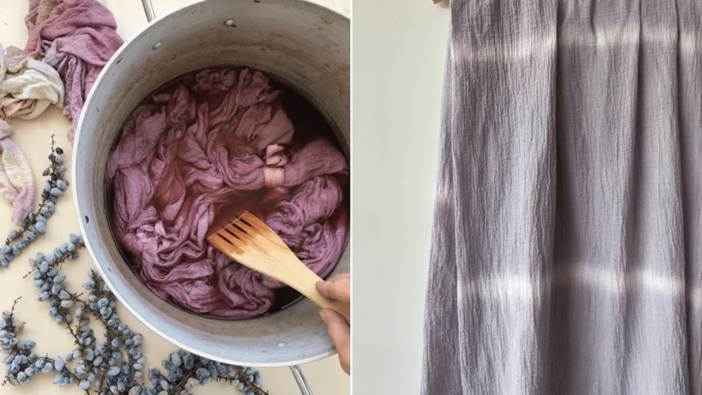 When to Pick Elderberries for Peak Flavor? - The Painted Hinge