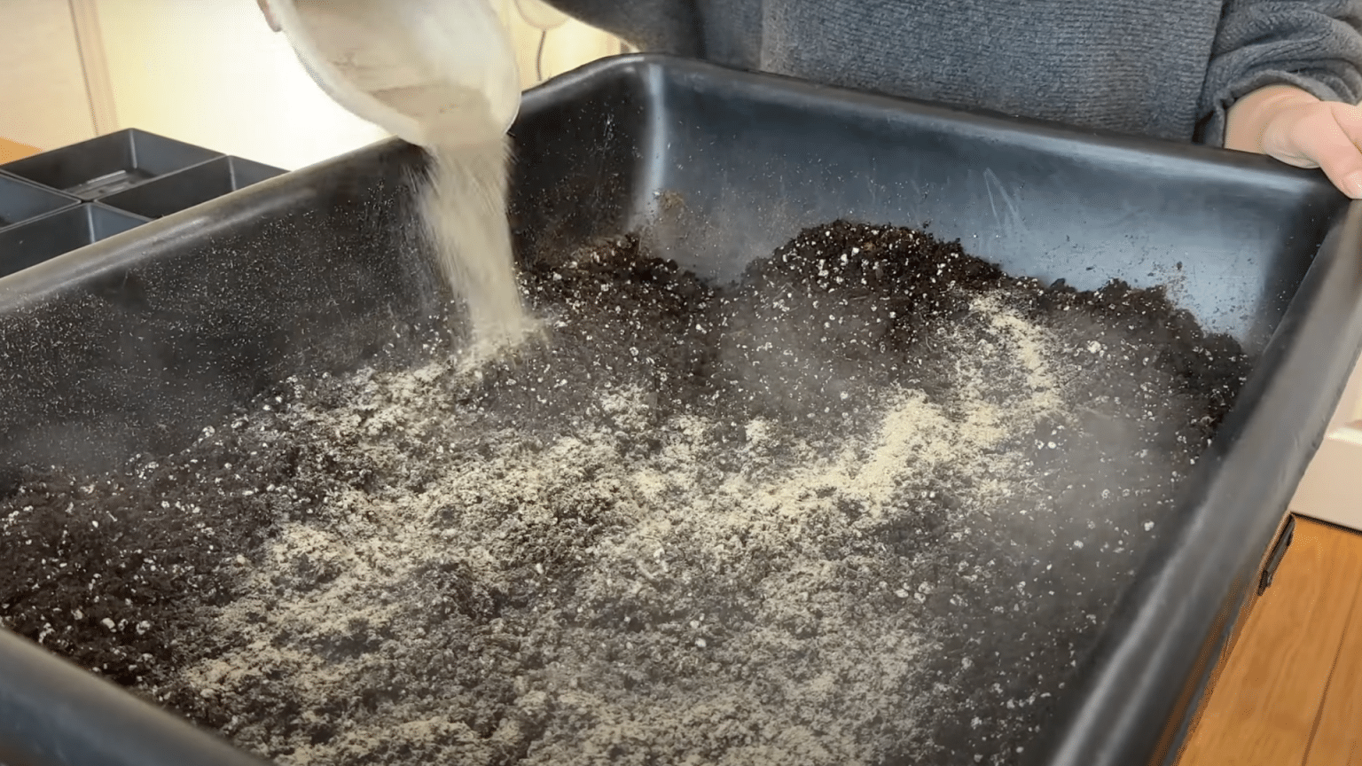 Growing Microgreens Indoors Set-Up Made Simple - The Painted Hinge