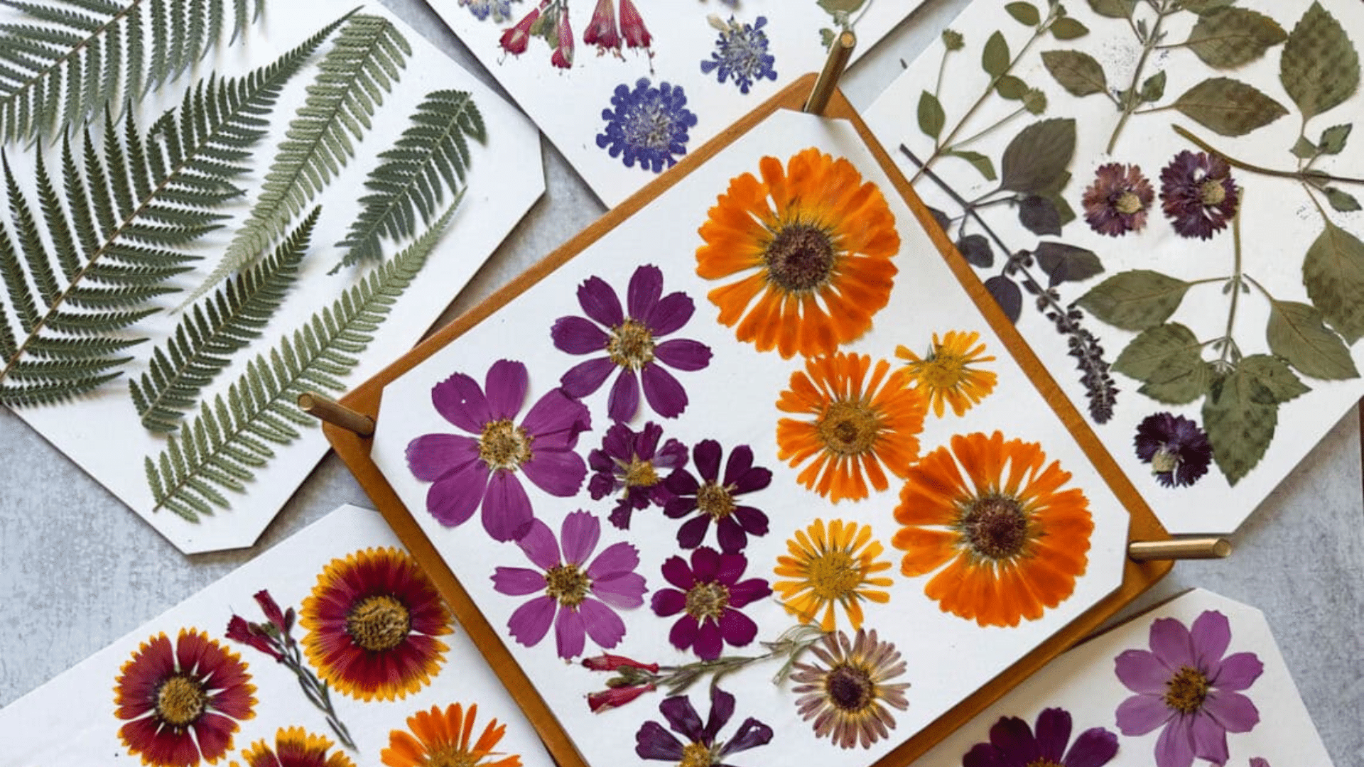 Speed Up Flower Pressing: 10 Home Methods That Work - The Painted Hinge