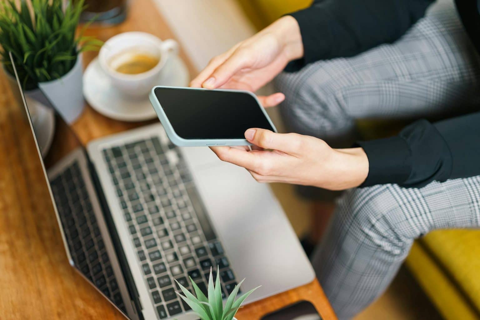 Are Your Office or Restaurant Plants Hiding Pests? - The Painted Hinge
